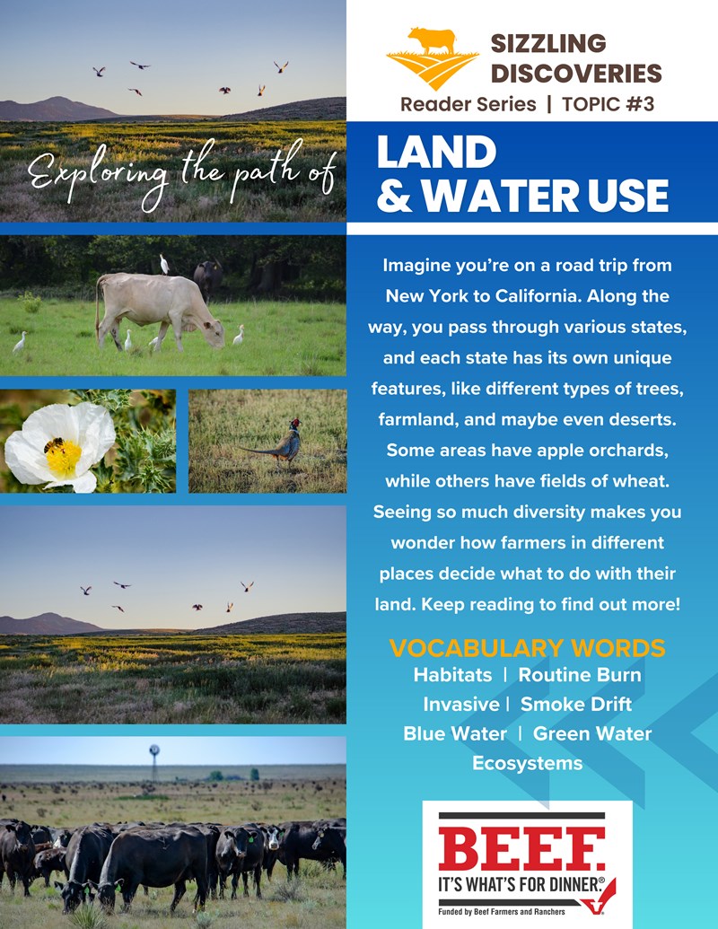 Exploring the Path of Beef-Reader Series