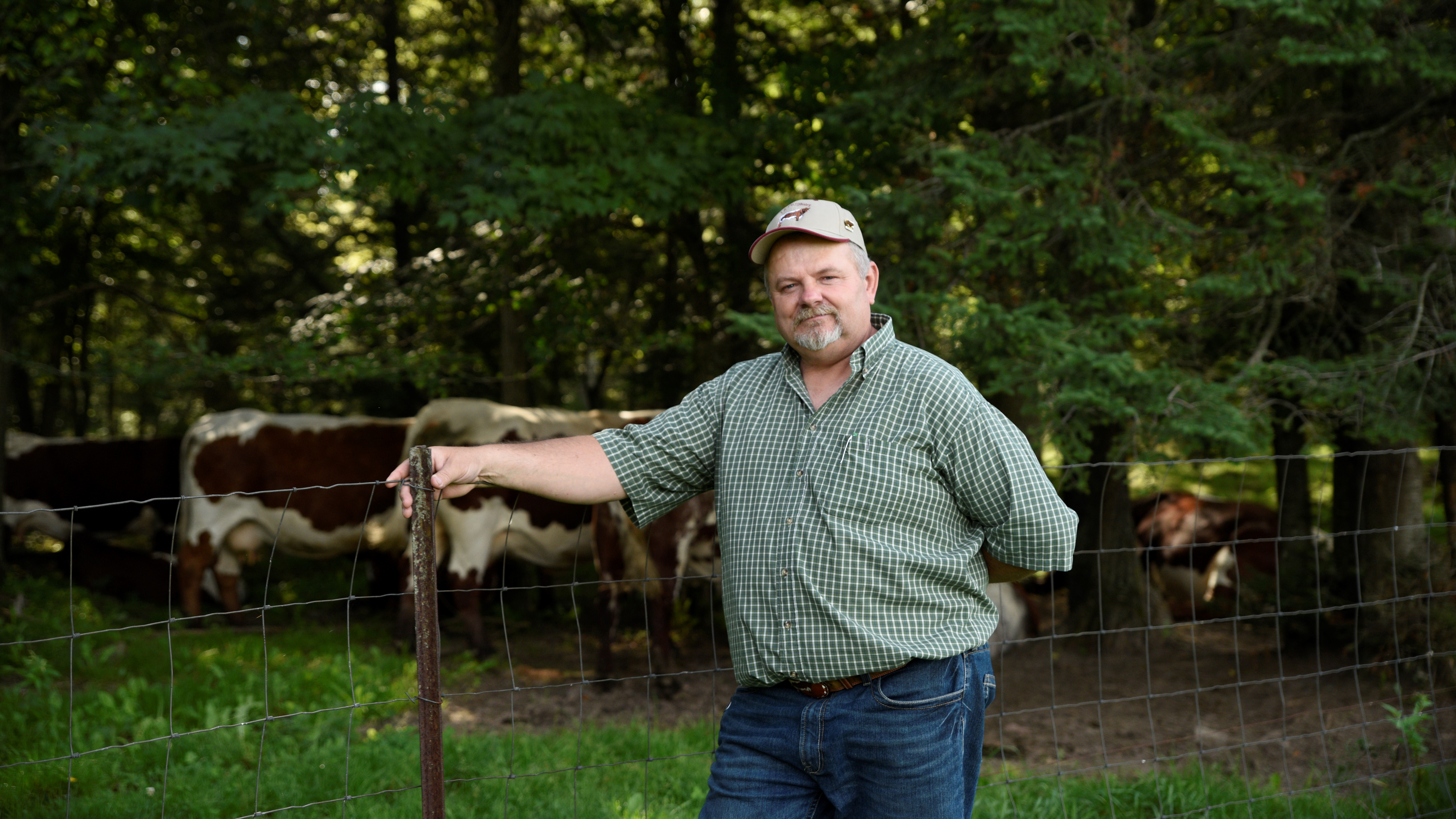 Behind the Beef