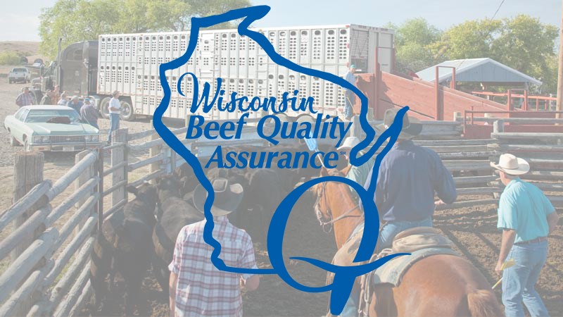 Beef Quality Assurance