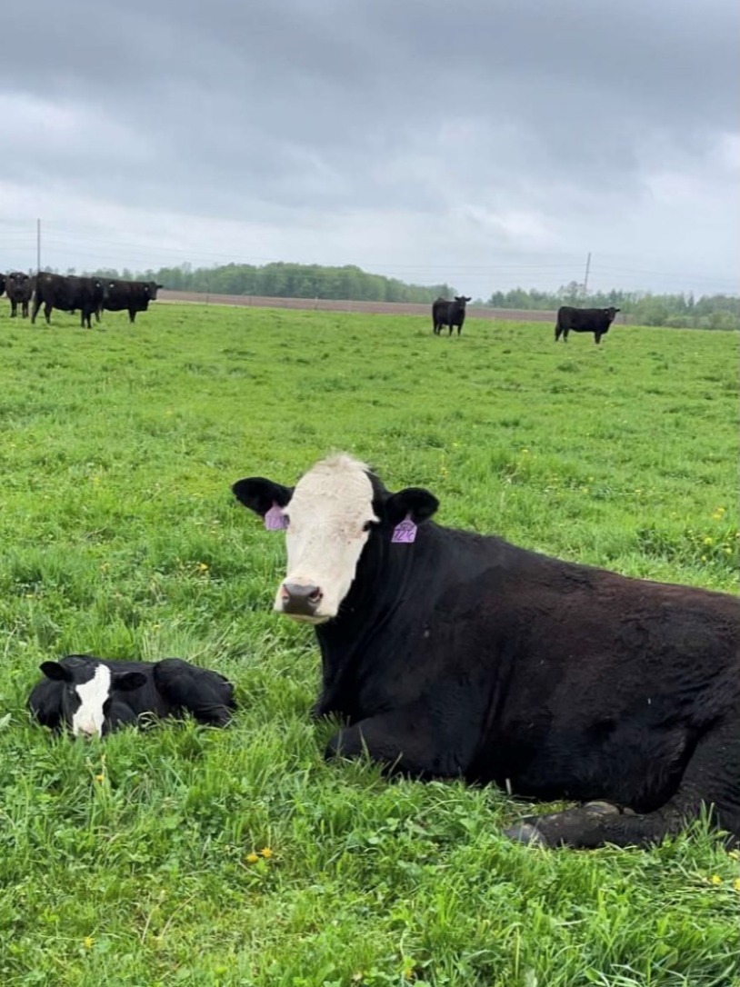 Zuck Cattle Company, Brady Zuck